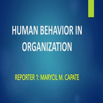 ppt for HBO Chapter 3.pptx