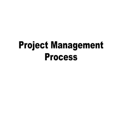 Project Management Process Overview Ppt