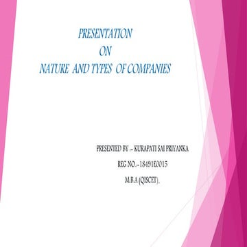 A Presentation on Nature & Types of Companies | PPTX