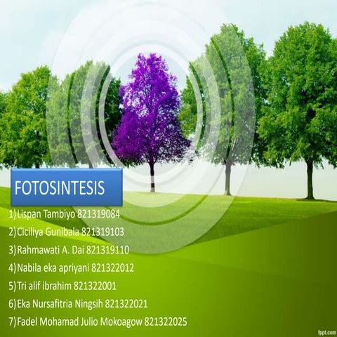 PPT FOTOSINTESIS.pptx