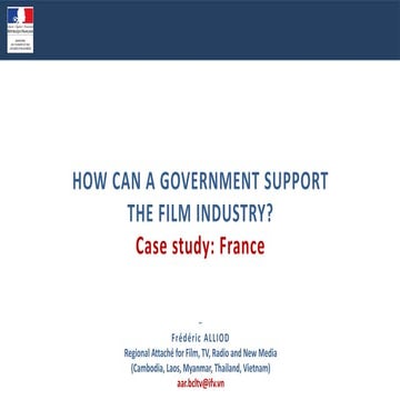 How Can a Government Support the Film Industry? | PDF