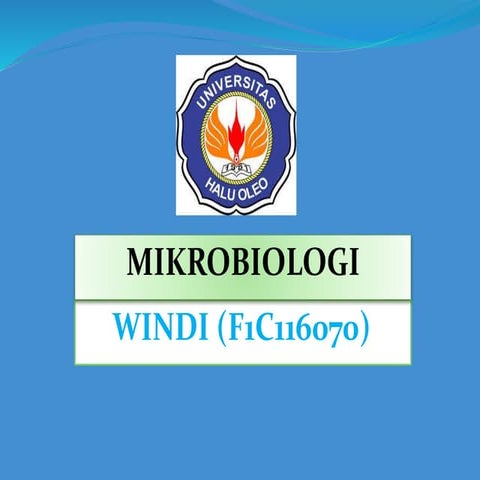 Windi (PPT 1) | PPT