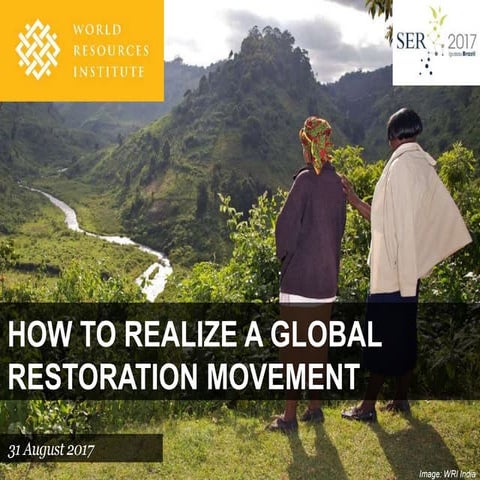 Restoring our rainforests: Bonn Challenge and Forest Landscape ...