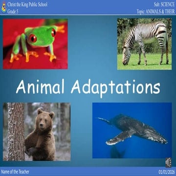 PPT_GRADE 5 ANIMALS CLASS 1 Animal Adaptation | PPTX