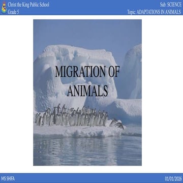 PPT_GRADE 5 ANIMALS CLASS 3. Adaptation in Animals | PPTX