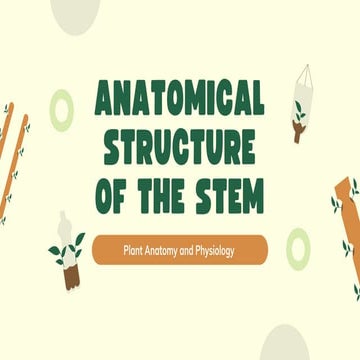 PPT GROUP IV ANATOMICAL STRUCTURE OF THE STEM.pdf
