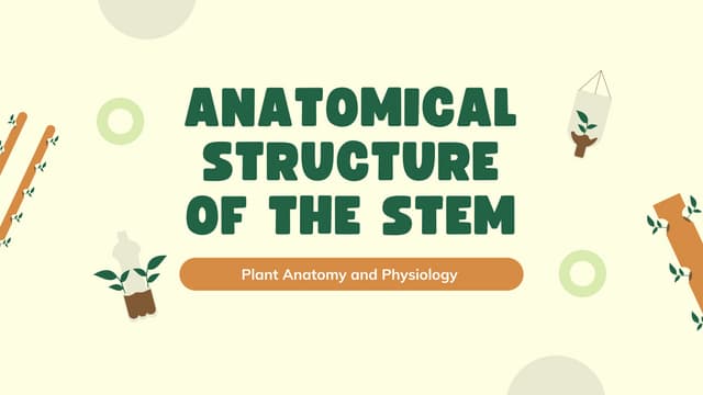 Anatomy of dicot and monocot stem | PPTX