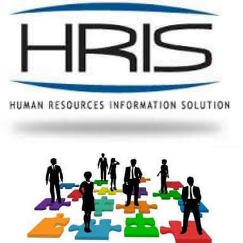 Human Resource Management System Minor Project .pptx