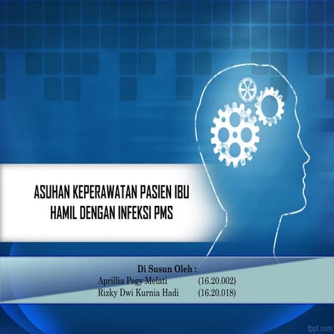 Ppt ims | PPT