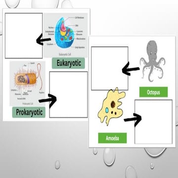 Cells is the basic unit of life. quarter 2pptx | PPTX