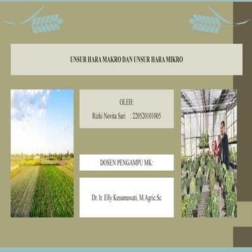 PPT INTERAKSI HARA TANAMAN (RIZKI NOVITA SARI).pptx