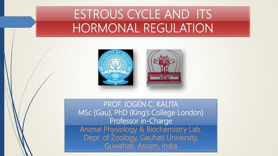 Presentation on ESTROUS CYCLE | PPT
