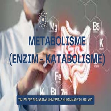 PPT Katabolisme/metabolisme biologi kelas 12.pptx