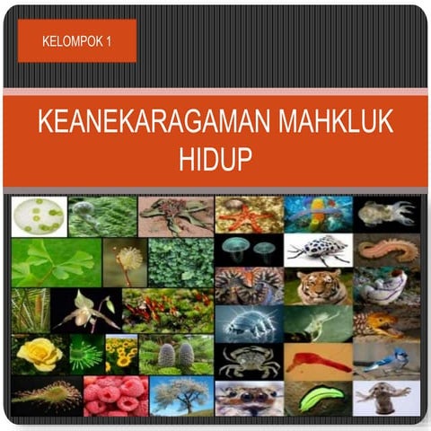 PPT KEANEKARAGAMAN MAHKLUK HIDUP.pptx
