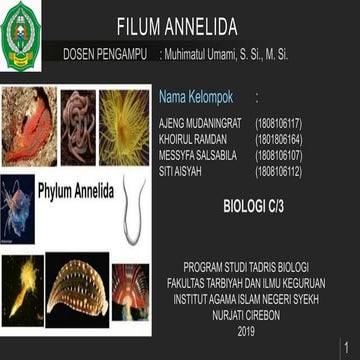 Annelida | PPTX