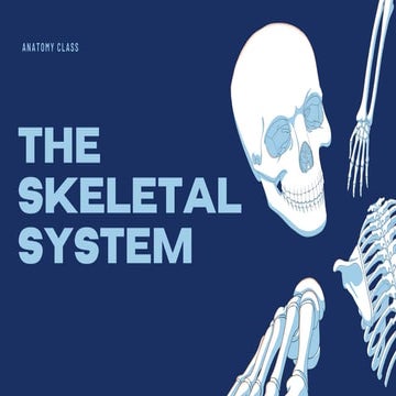 Sistem Skeletal | PDF