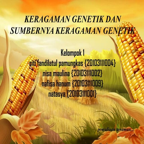 ppt keragaman genetik pada tanaman 2.ppt