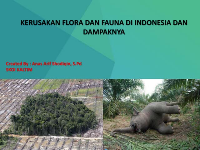 PPT Keragaman Hayati MATERI GEOGRAFI KELAS XI .pptx