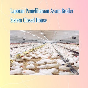 PPT Laporan Pemeliharaan Ayam Broiler Close House.pptx