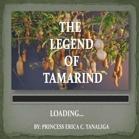 PPT_LEGEND_TANALIGA_PRINCESS_ERICA_12_BERYL | PPT