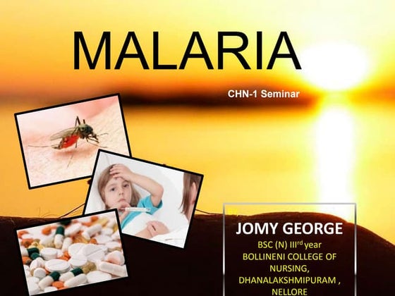 Healthy_Village_Facilitator_s_Guide-Malaria (4).pdf