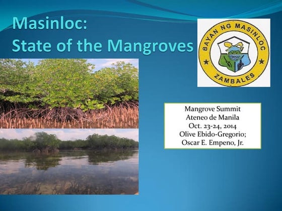 State of the Mangroves: La Union | PPT