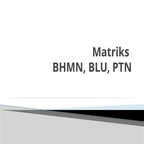 ppt matrix Kampus Tinggi BHMN, BLU, PTN.pptx