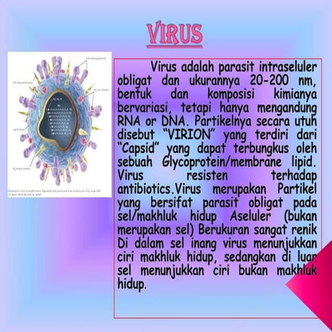 Bab 1 Virus : Replikasi virus (Daur litik dan daur lisogenik) | PPTX