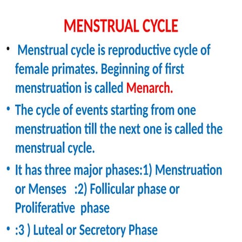 POWER POINT PRESENTATION ON MENSTRUAL CYCLE.pptx
