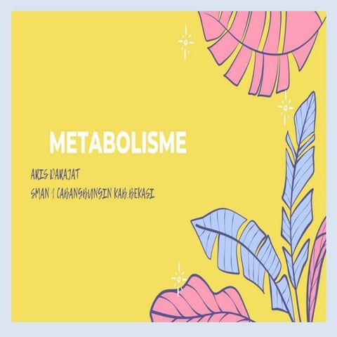 PPT METABOLISME.pptx