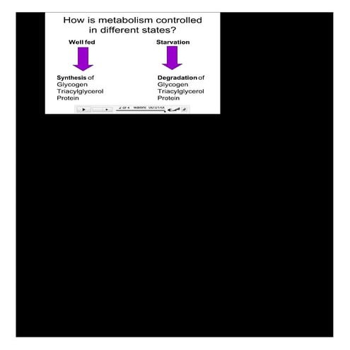 Ppt – metabolism in wellfed and starvation states power point ...