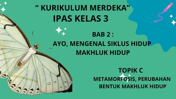 Siklus Pada Makhluk Hidup Untuk Kelas 3 Kurikulum Merdeka.pptx