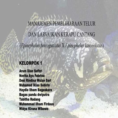 PPT MH KEL. 1 (BU YUNI).pptx