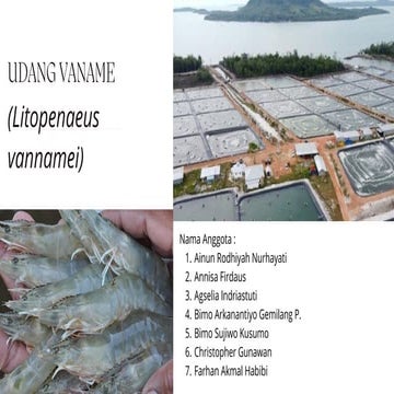 PPT Mikro Kel. 5.pdf