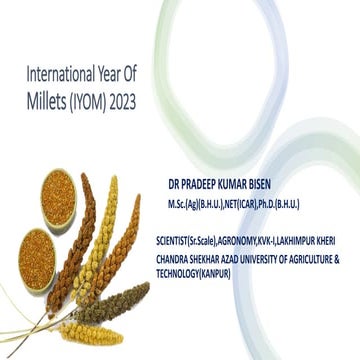 PPT_millets.pptx international millet ye | PPTX