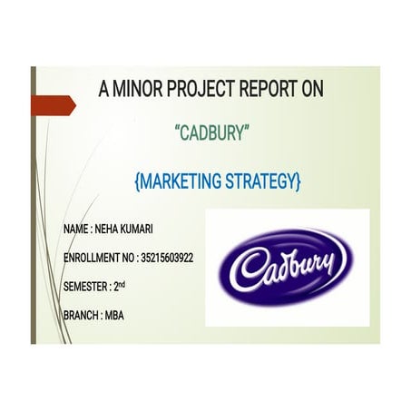 PPT Minor project.pdf