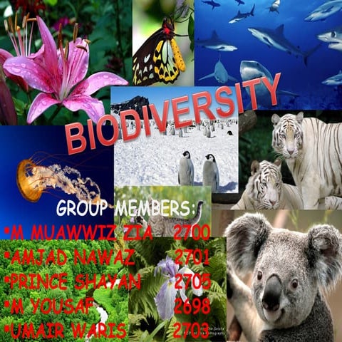 Biodiversity | PPT