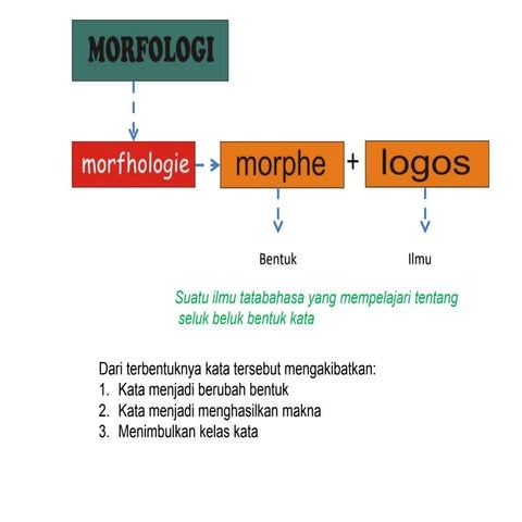 PPT MORFHOLOGIE.pptx