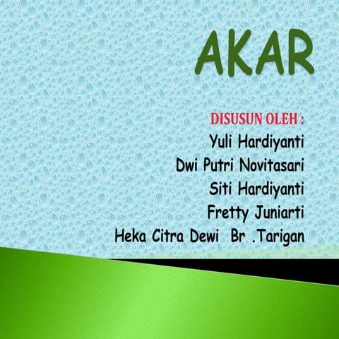 PPT_Morfologi_Akar Tumbuhan dan contohnyaptx | PPTX