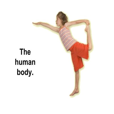 Human figure activity | PDF