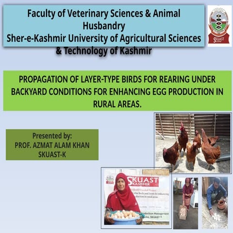PROPAGATION OF LAYER-TYPE BIRDS FOR REARING UNDER BACKYARD CONDITIONS ...
