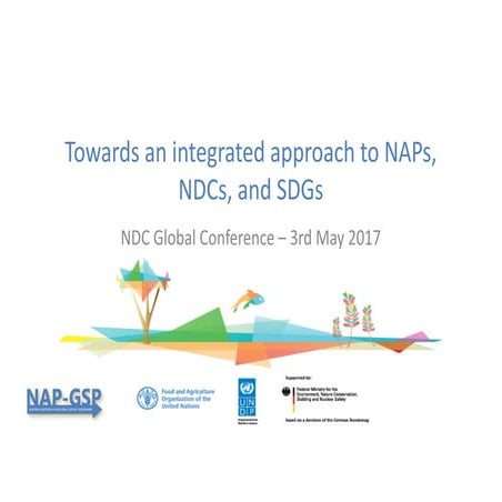 Towards an integrated approach to NAPs, NDCs and SDGs | PPT