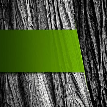 PPT Natural resources,ecosystem,food chain,food web | PPTX