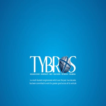 Tybros Group | PDF