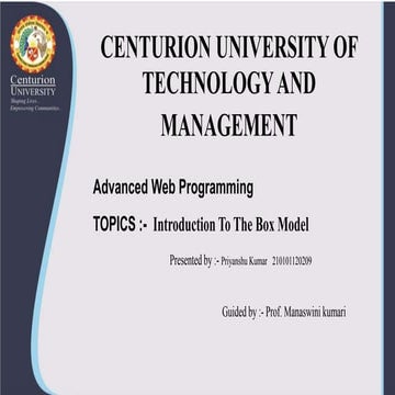 Presentation Of Advance Web Programming Pptx