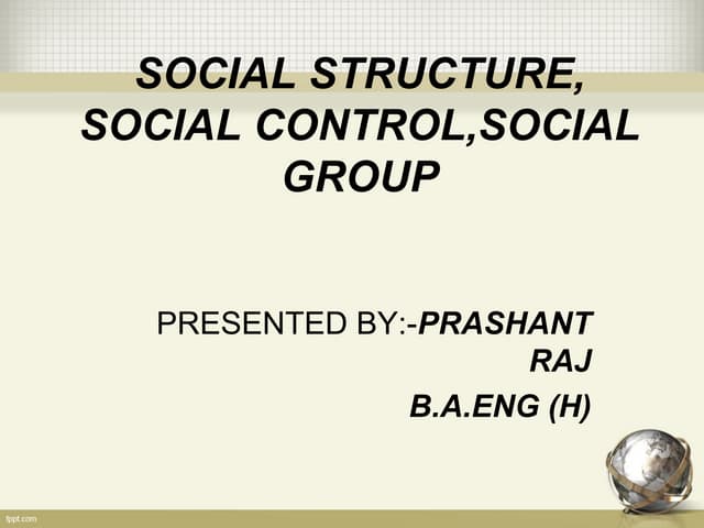 Social organization.pptx