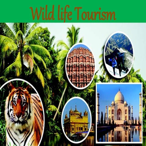 case study on wild life tourism | PPTX