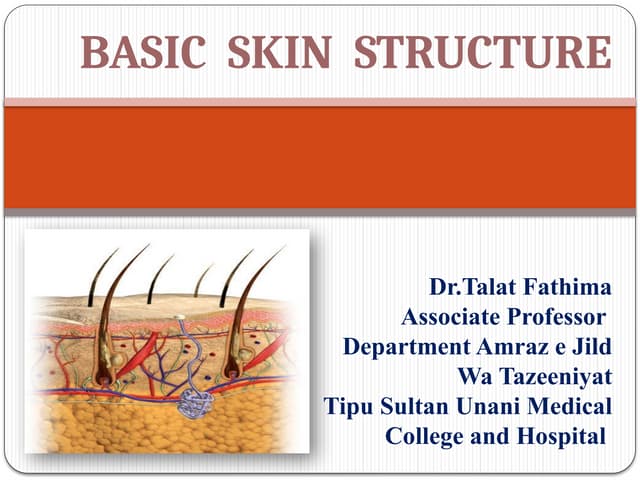 Skin: Structure and function of the skin | PPTX