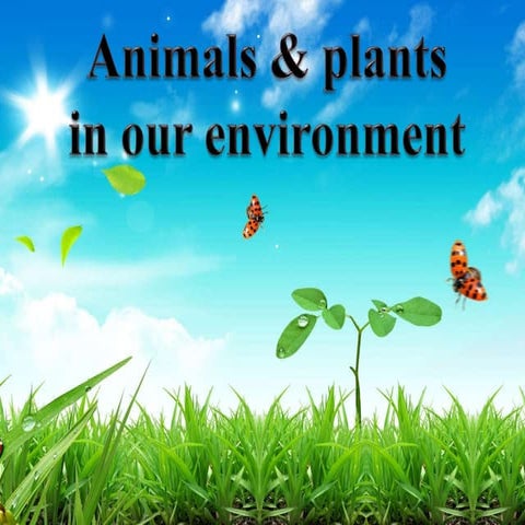 Plants and animals depend on each other. (teach 2nd/3rd grade)
