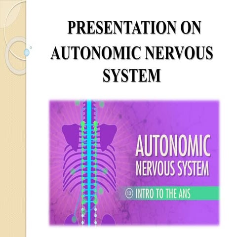 ppt on ANS.pptx
